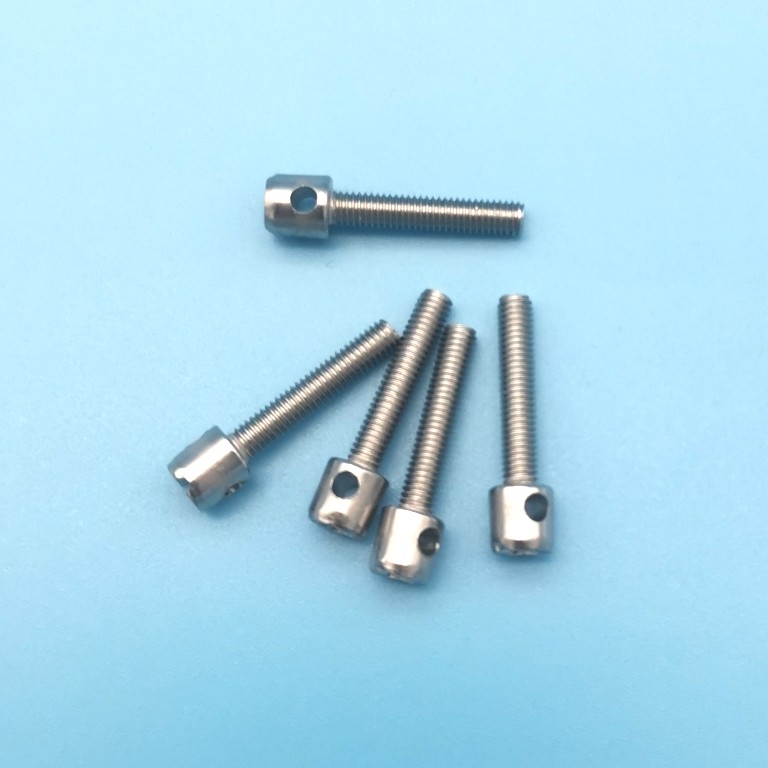 M4*20 Stainless Steel lead seal screw Cross Recessed Bored Head ...