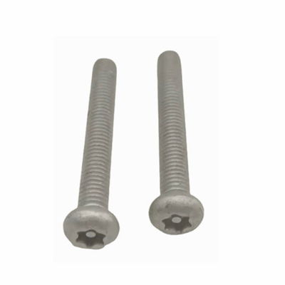 M4x35 Stainless Tamper Proof Screws Machine Screws SUS316 Passivated